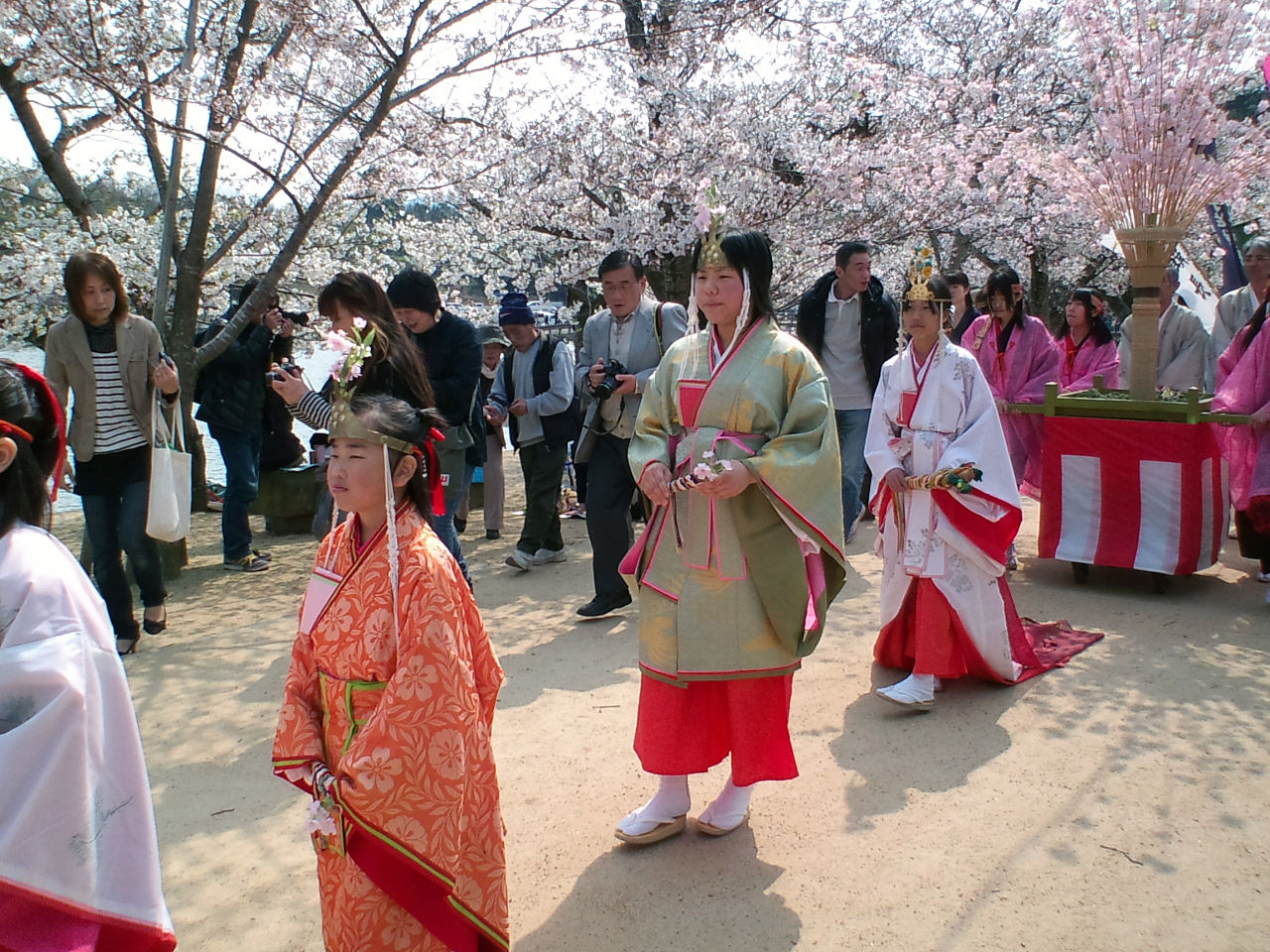 Hanami Matsuri - Festival de Contemplação das Flores - Arakaki Sensei